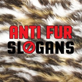 Anti Fur Slogans and Sayings